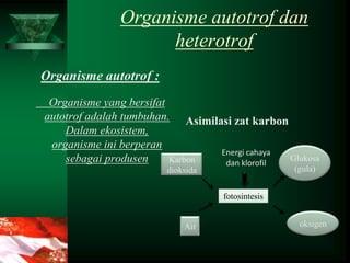 Komponen ekosistem, peran dan interaksinya | PPTX