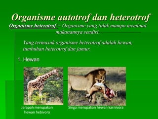 Komponen ekosistem, peran dan interaksinya | PPTX