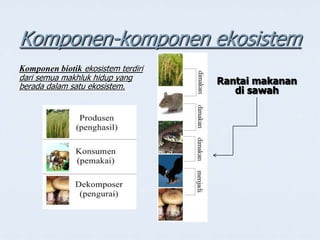 Komponen ekosistem, peran dan interaksinya | PPTX