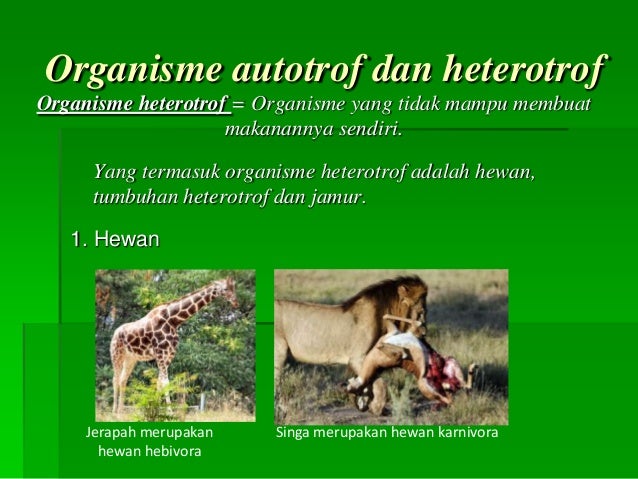 ototronik 1 kebumen: Maret 2015