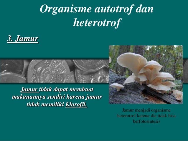 ototronik 1 kebumen: Maret 2015