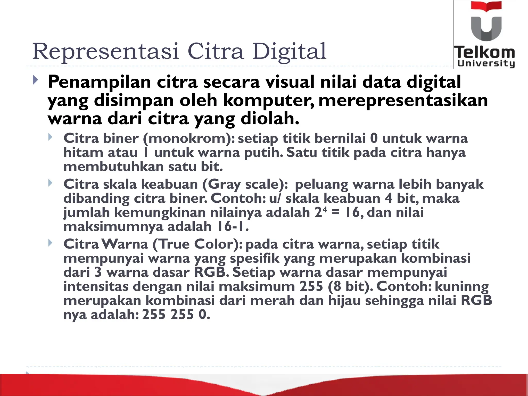 Penampilan citra secara visual nilai data digital yang disimpan oleh ...