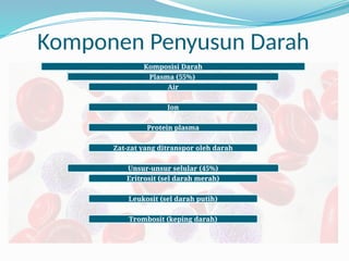 PPT Komponen Penyusun Darah Beserta Fungsinya | PPTX