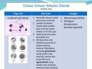 PPT Komponen Penyusun Darah Beserta Fungsinya | PPTX