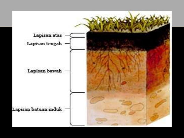 Komponen Komponen dan sifat fisik tanah kelas 10