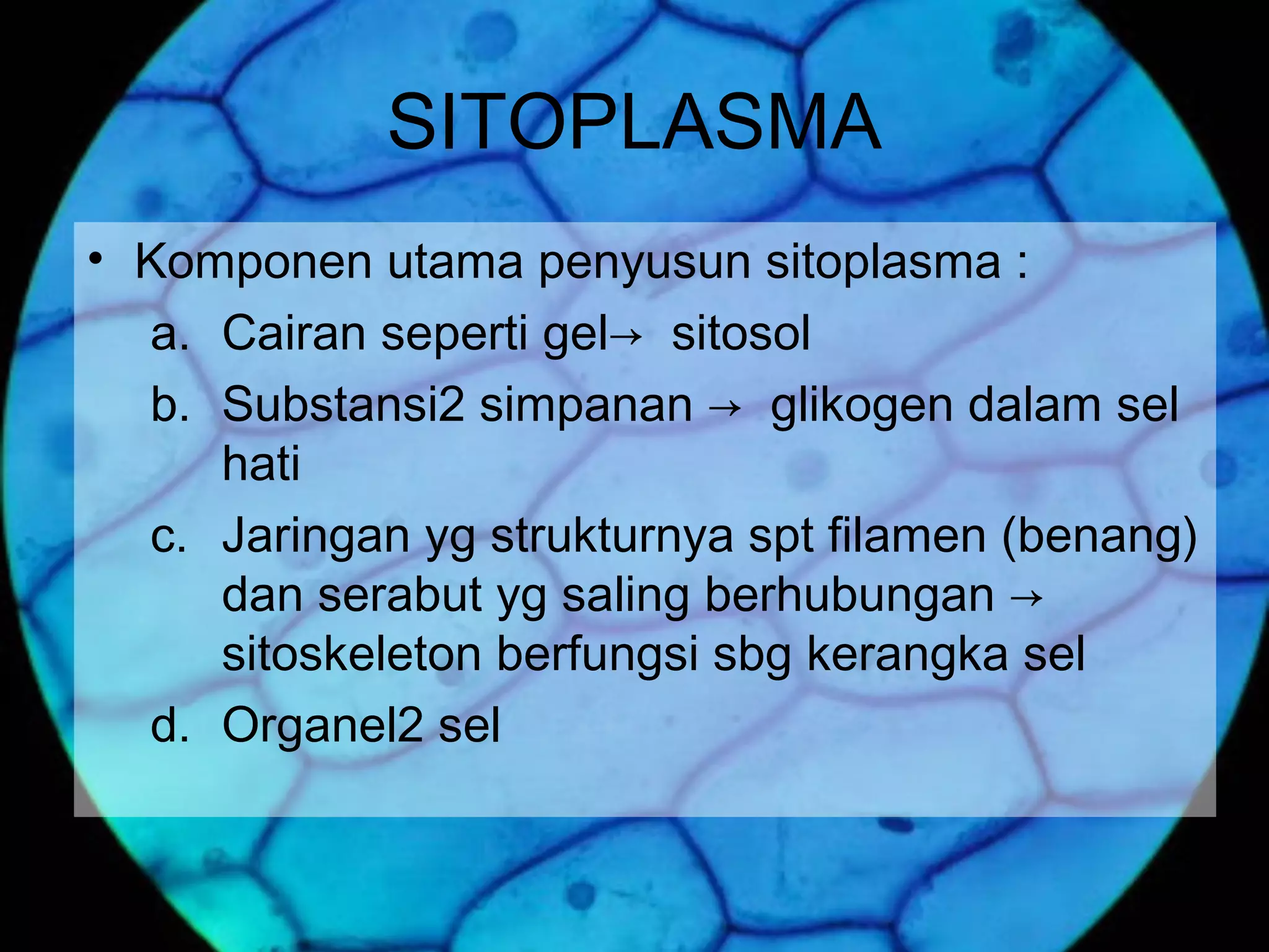 Komponen Tubuh Manusia | PPT