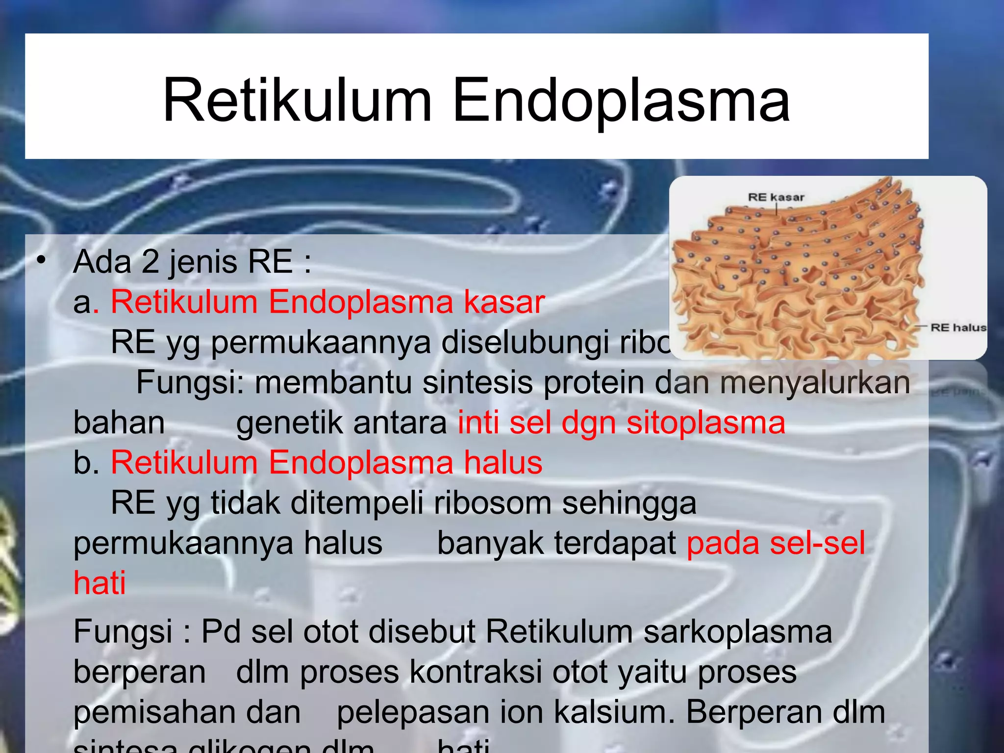 Komponen Tubuh Manusia | PPT
