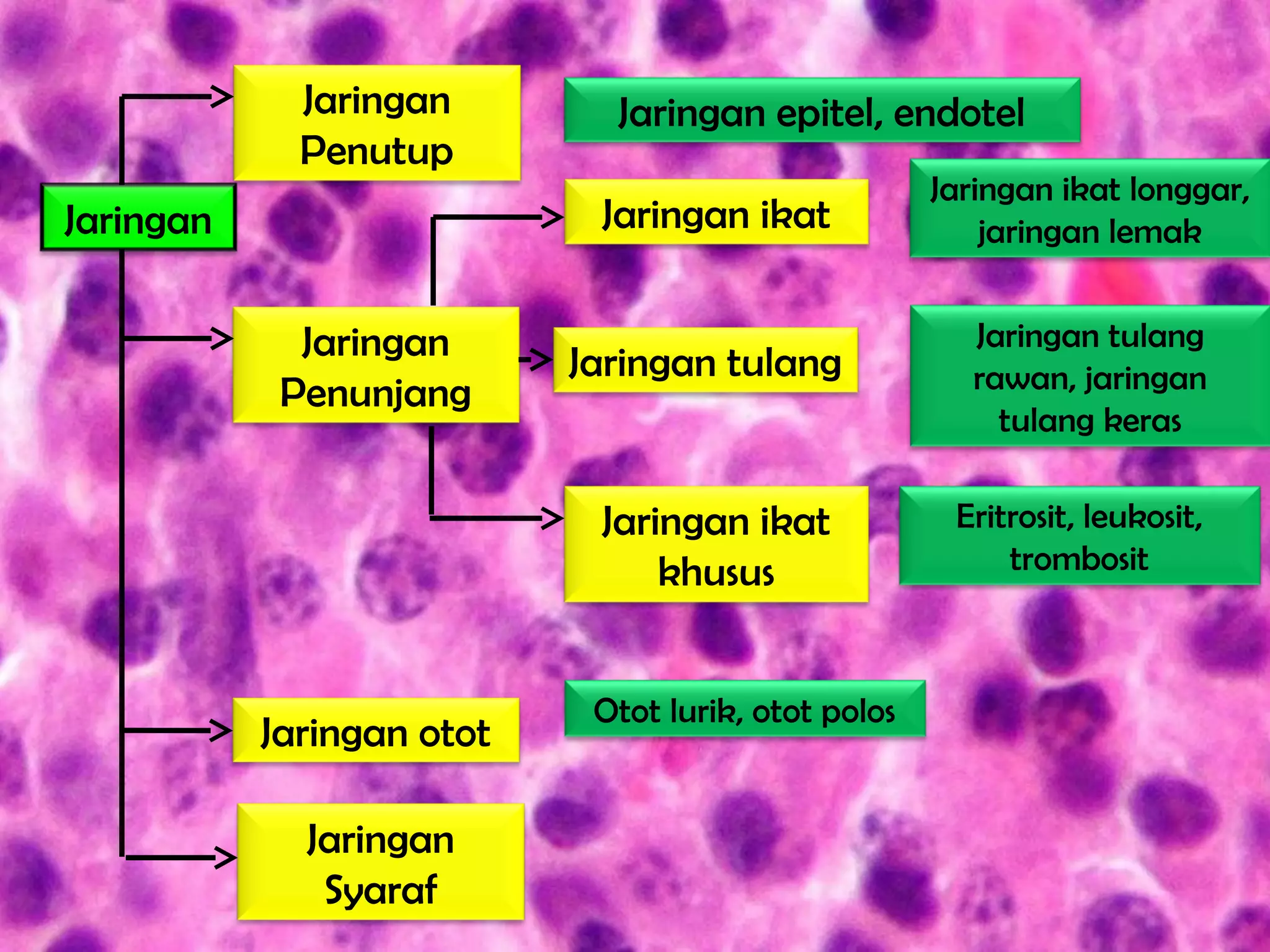 Komponen Tubuh Manusia | PPT