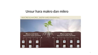 kompos hara makro dan mikro serta aplikasinyapptx | PPTX