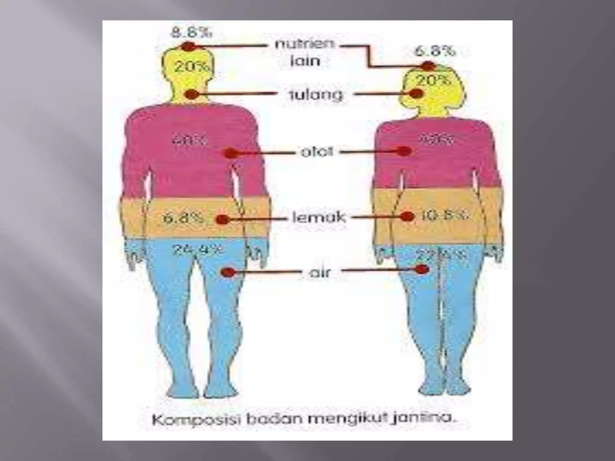 Komposisi Badan - MPP | PPTX