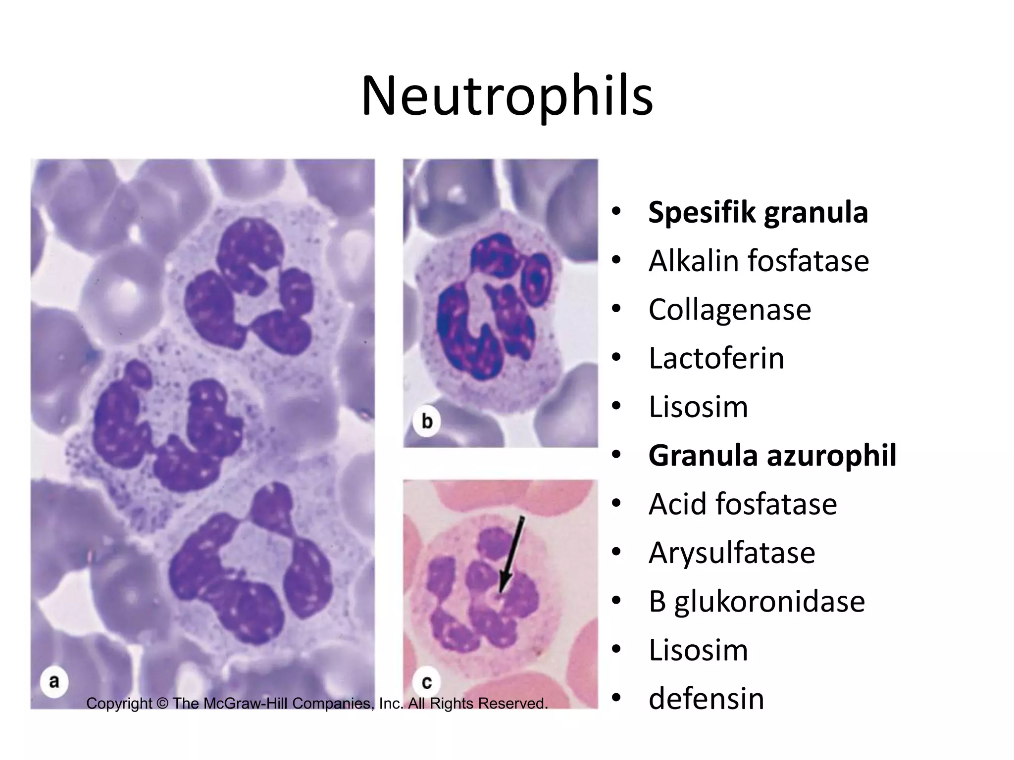 Komposisi dan fungsi darah 1 | PPTX