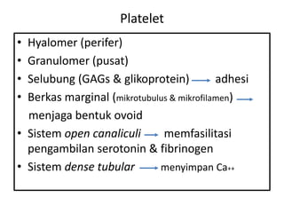 Komposisi dan fungsi darah 1 | PPTX