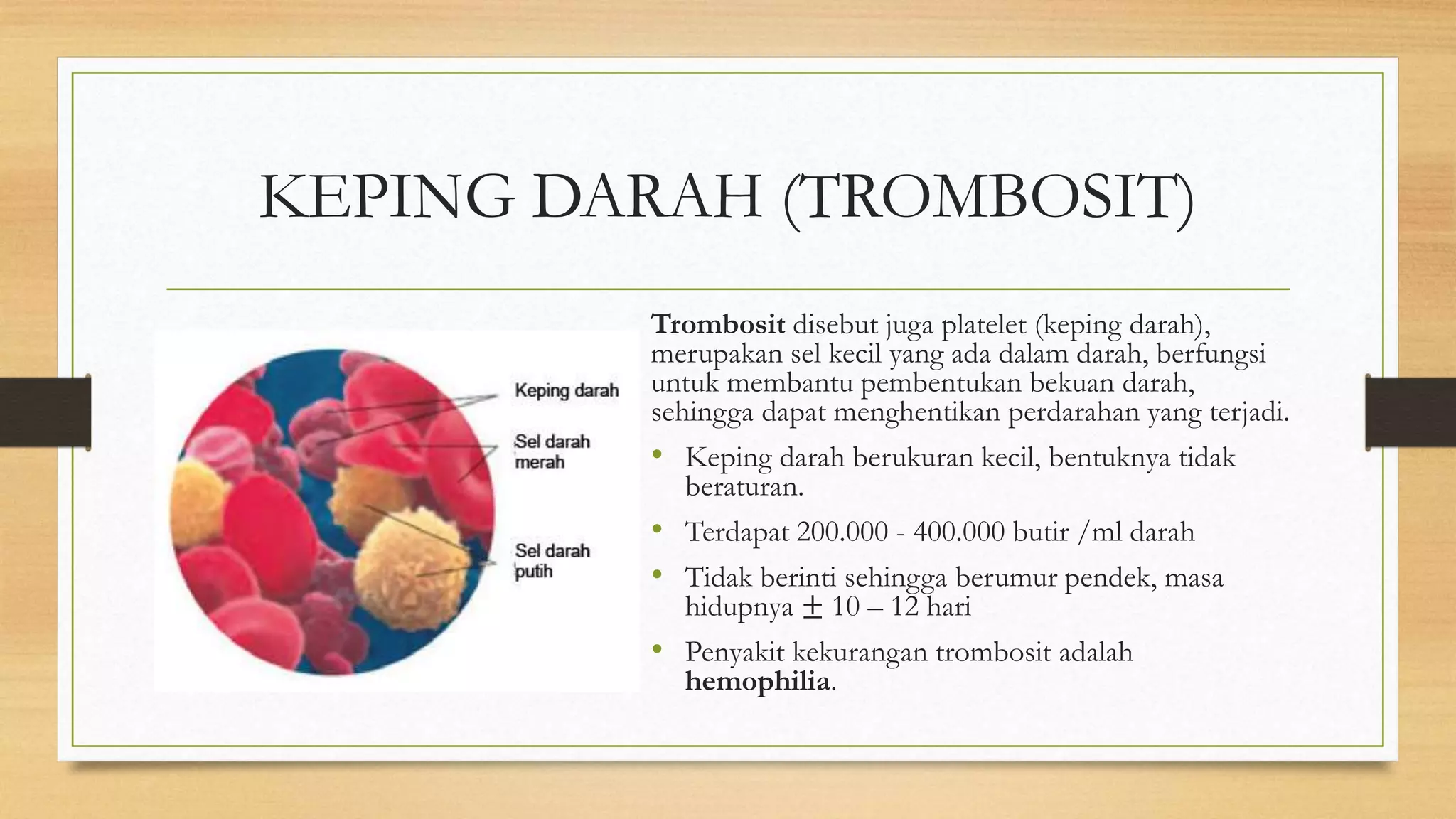 PPT Komposisi darah dan golongan darah | PPTX