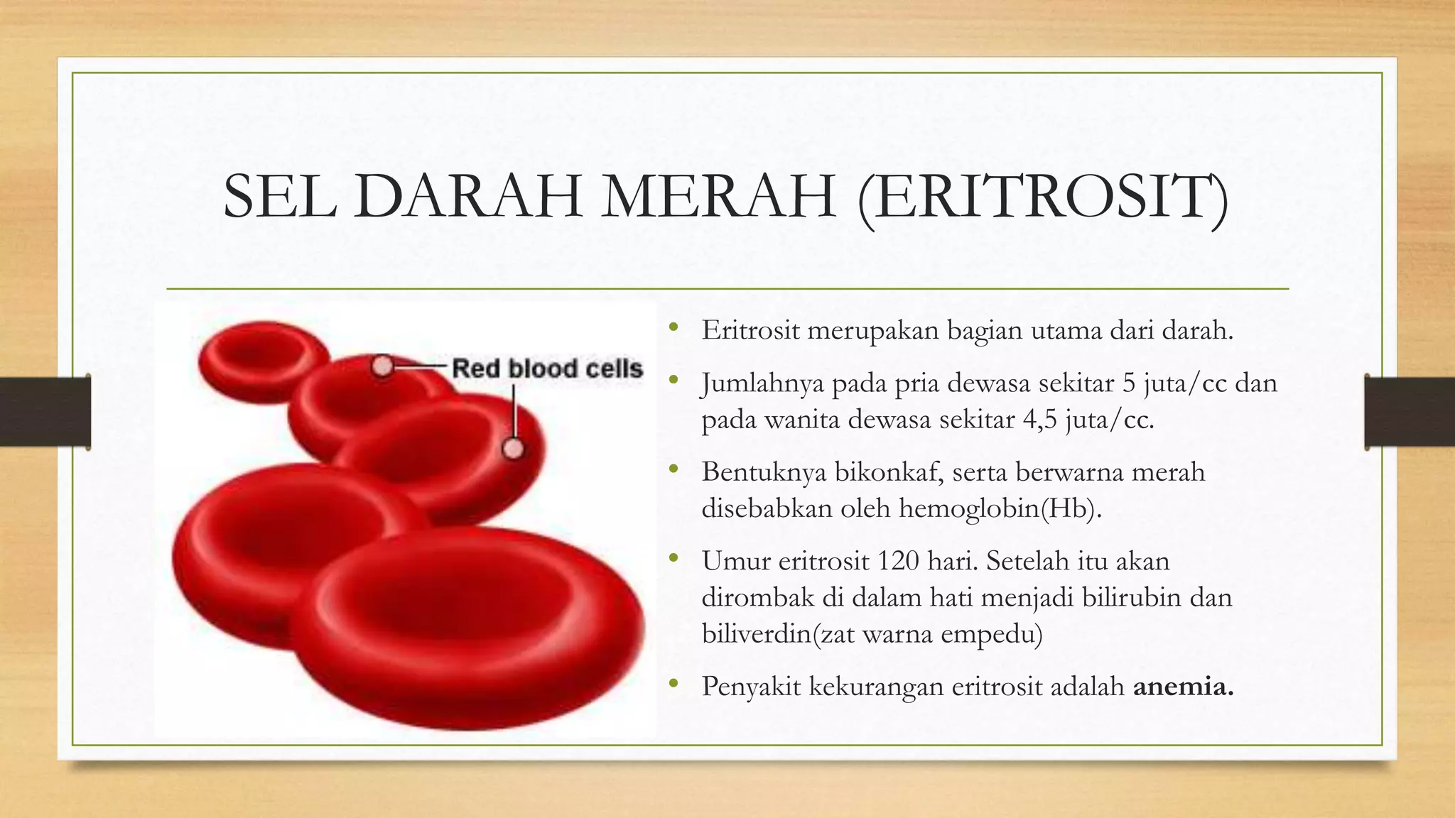 PPT Komposisi darah dan golongan darah | PPTX