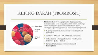 PPT Komposisi darah dan golongan darah | PPTX