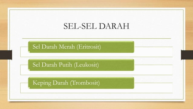 PPT Komposisi darah dan golongan darah | PPTX