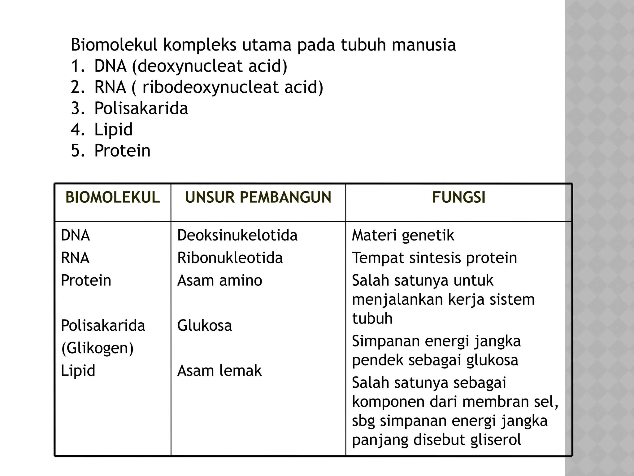 Komposisi Dasar Dan Metabolisme Tubuh Manusia.pptx
