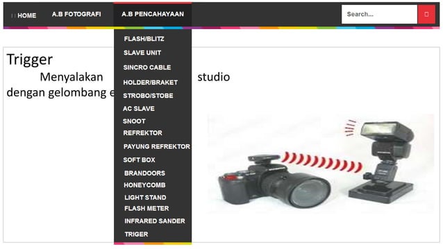 Alat Bantu Pemotretan - Komposisi foto digital | PPT