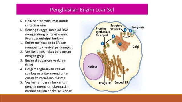 Komposisi kimia dalam sel | PPTX
