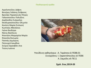 Kompostopoiisi 1 gel ag. paraskevis | PPTX