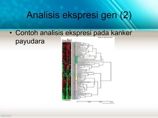 Komputasi dalam bidang biologi (bioinformatika) | PPTX