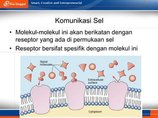 Komunikasi-sel-Pertemuan-Ke-7.pptx