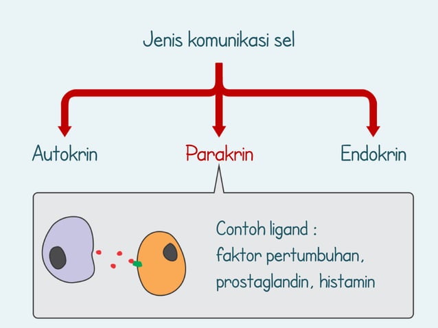 Komunikasi Sel | PDF