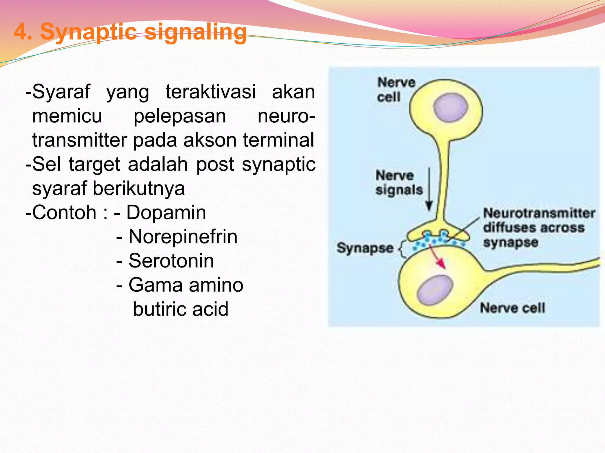 Komunikasi sel | PPTX