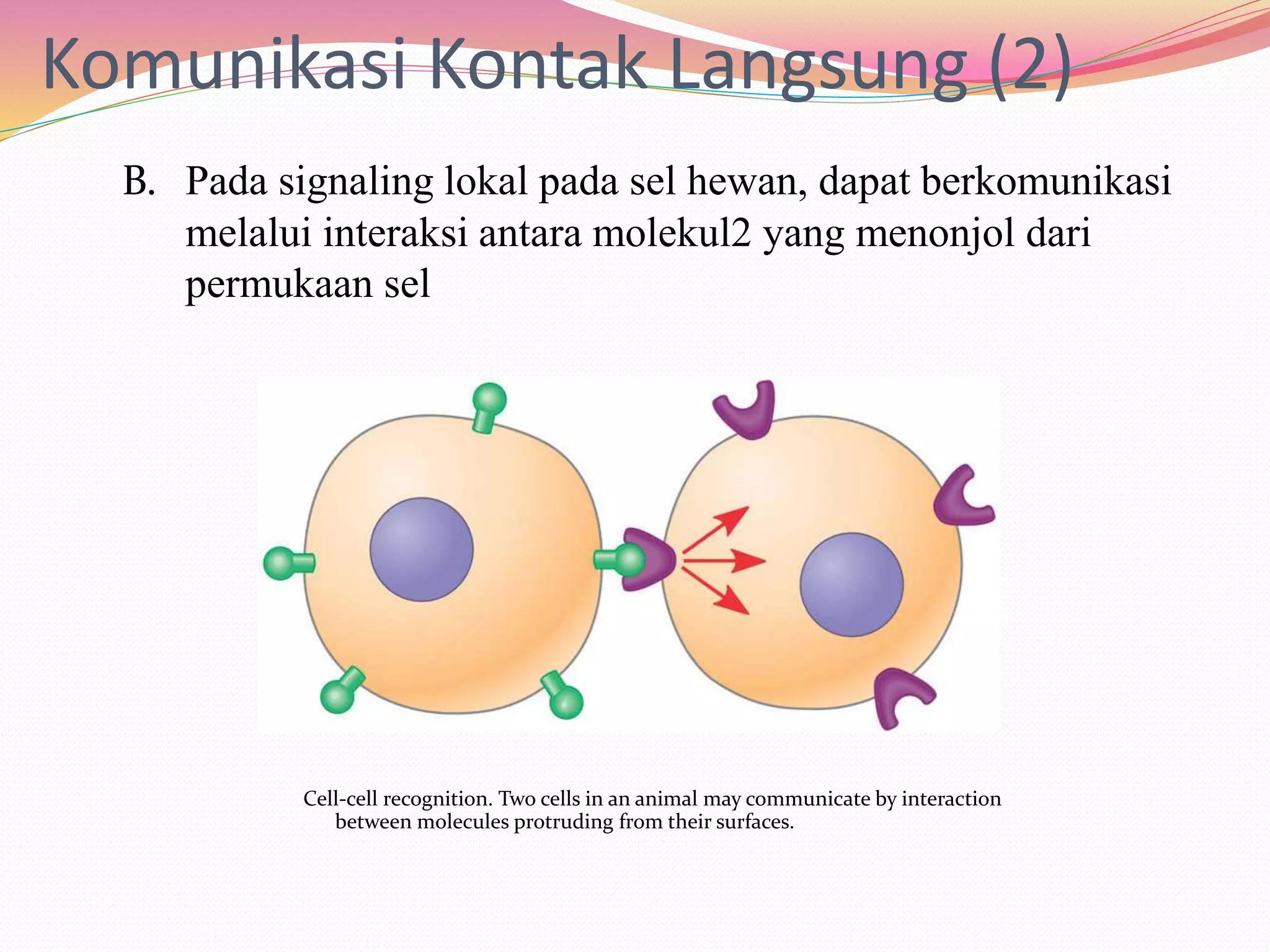 Komunikasi sel | PPTX