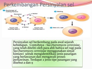 Komunikasi sel | PPTX