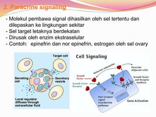 Komunikasi sel | PPTX