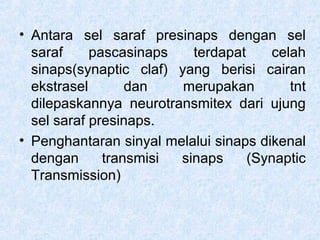 Komunikasi sel1 (modul sel dan genetika) | PPT
