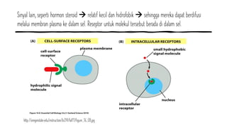 KOMUNIKASI SEL | PPT