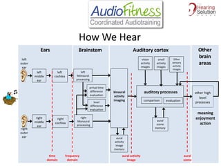 Sensory Neural Hearing Loss | PPT