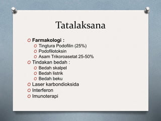 kondiloma akuminata silvia ppt.pptx