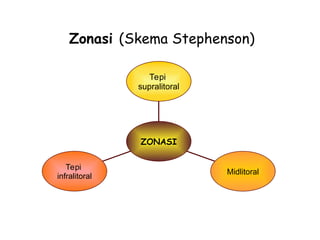 KONDISI DAN SIFAT-SIFAT EKOSISTEM PANTAI.ppt