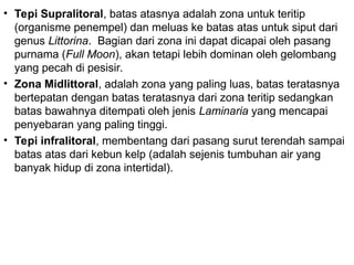 KONDISI DAN SIFAT-SIFAT EKOSISTEM PANTAI.ppt
