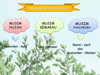 Kondisi geografis indonesia | PPTX