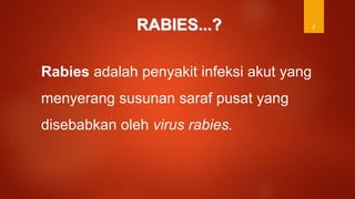 KONDISI GIGITAN HEWAN PENULAR RABIES SANGGAU 2020.pptx