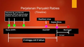 KONDISI GIGITAN HEWAN PENULAR RABIES SANGGAU 2020.pptx