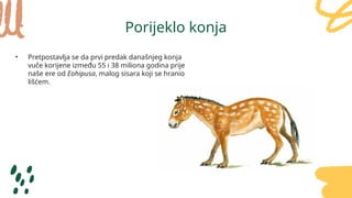 Konj porijeklo i podjjela konja sa slikama.pptx