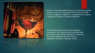 Konjak | PPT