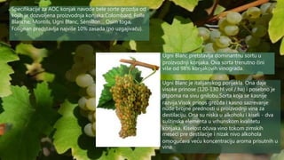 Konjak | PPT | Free Download