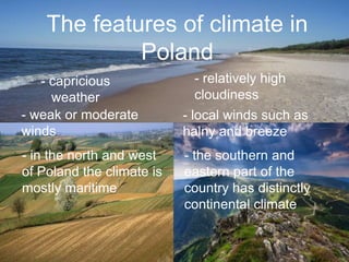 Konrad Kordysz | PPTX | Weather | Science