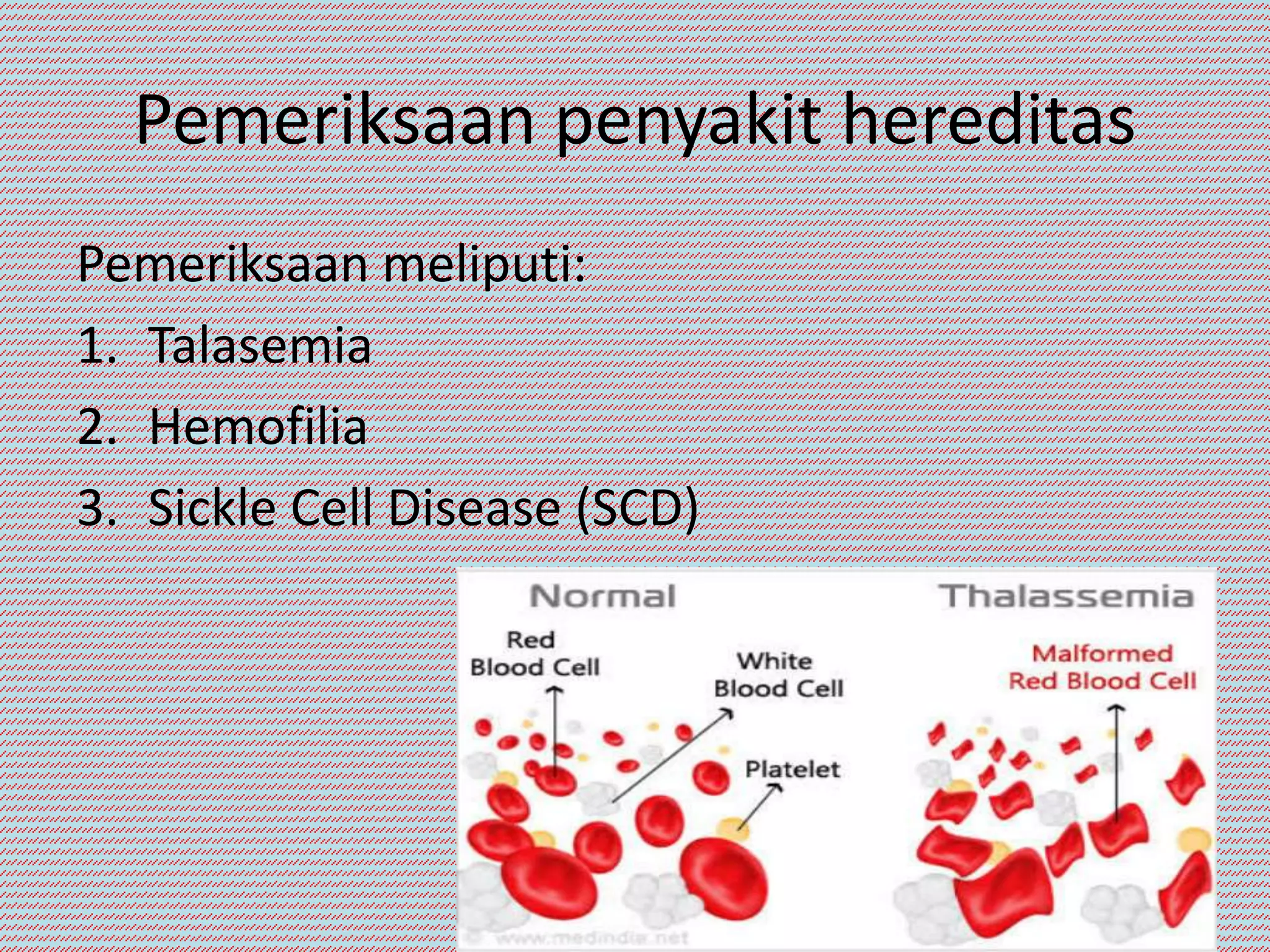 KONSELING_PRANIKAH_DAN_PRAKONSEPSI.pptx