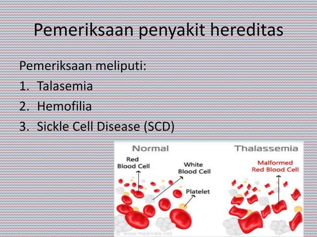 KONSELING_PRANIKAH_DAN_PRAKONSEPSI.pptx