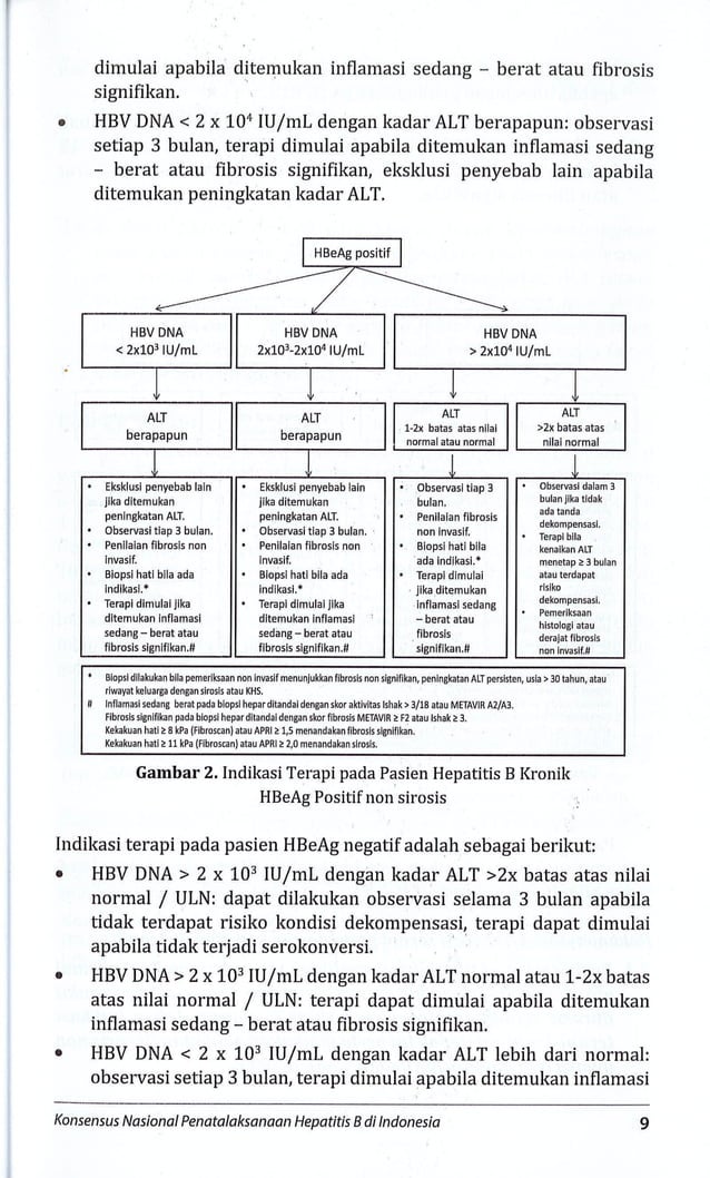 Konsensus nasional penatalaksanaan hepatitis b (1) | PDF