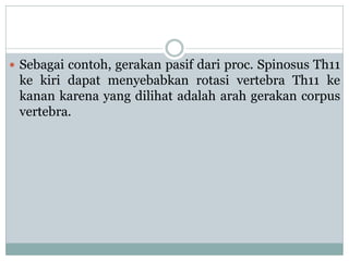 Konsep Anatomi Biomekanik Vertebra | PDF
