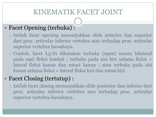 Konsep Anatomi Biomekanik Vertebra | PDF