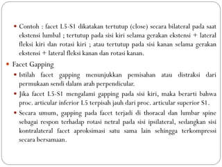 Konsep Anatomi Biomekanik Vertebra | PDF